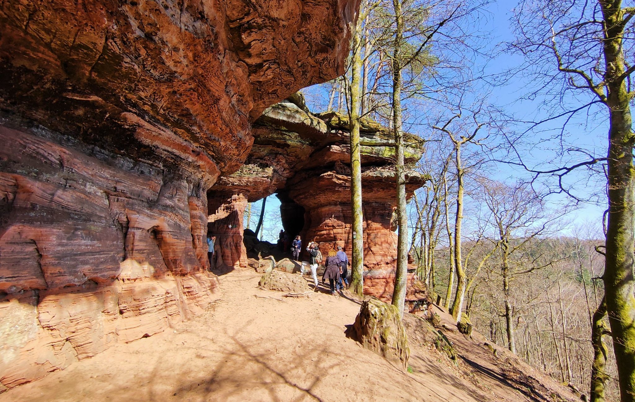L'Altschlossfelsen : Le Colorado alsacien va vous surprendre