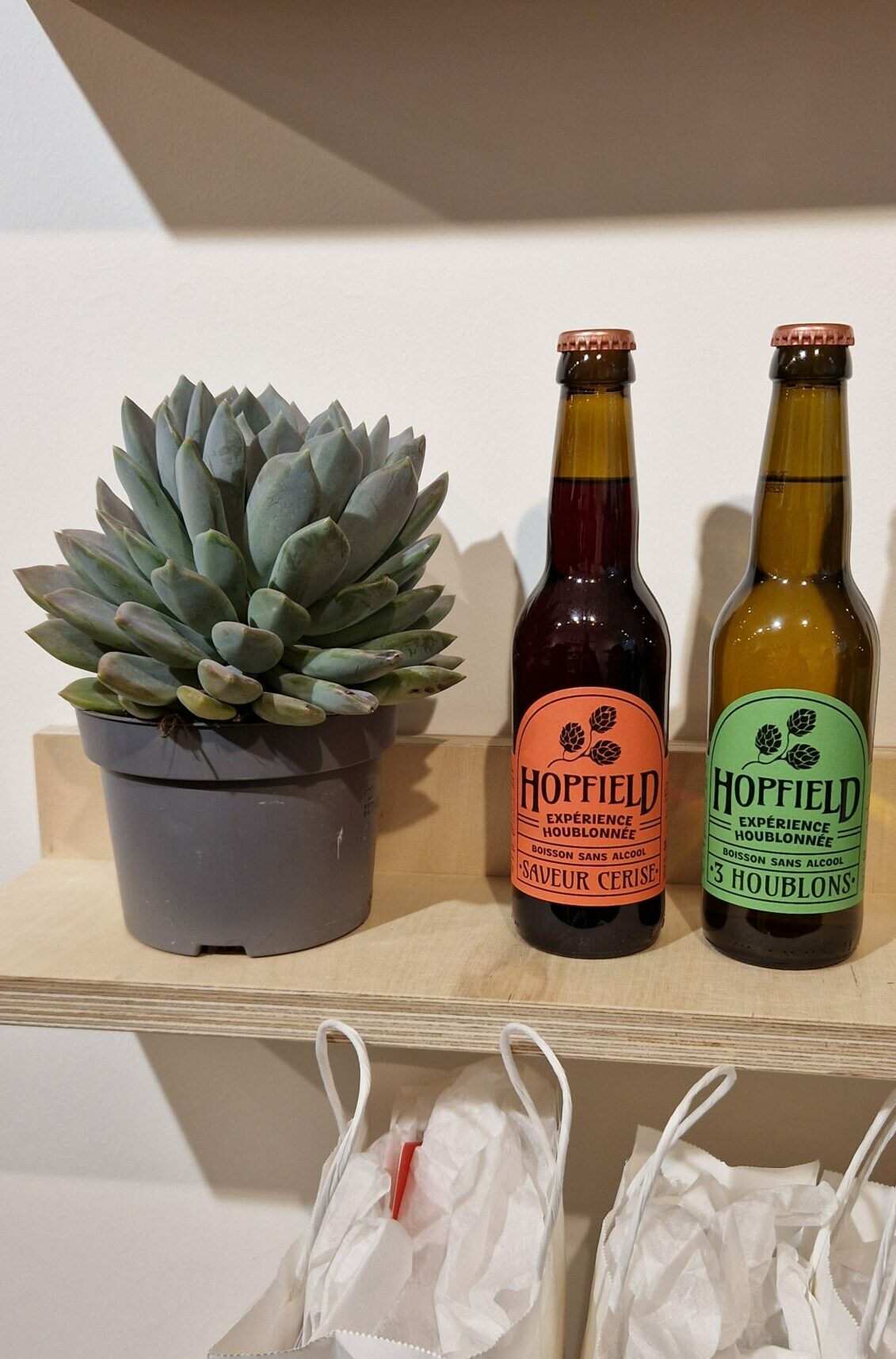 Le Cactus de Barnabé : La boutique sans alcool à Strasbourg