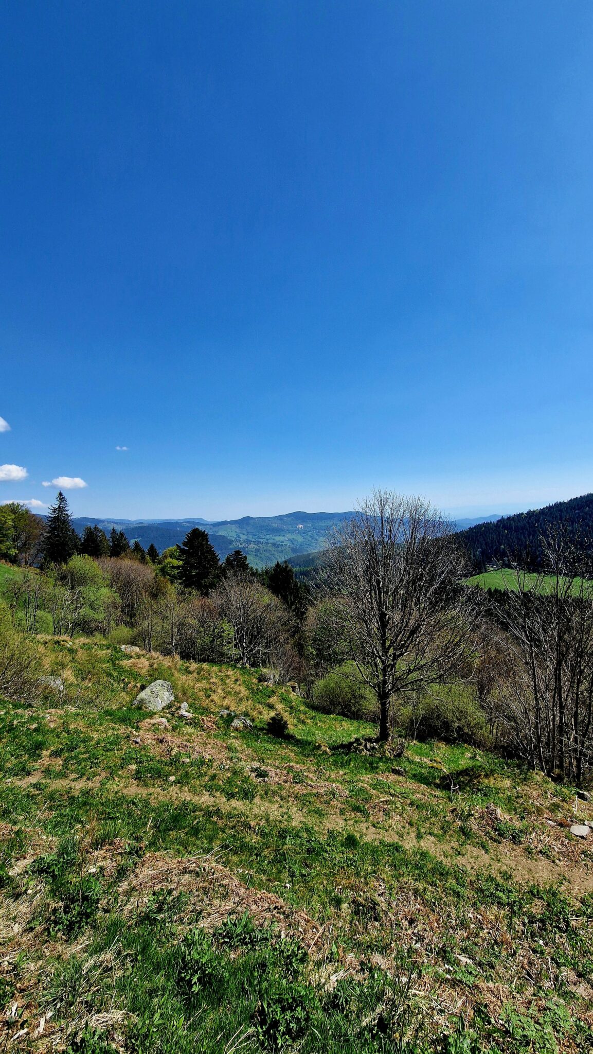 Randonnée du tour du Petit Hohneck au départ du Gashney
